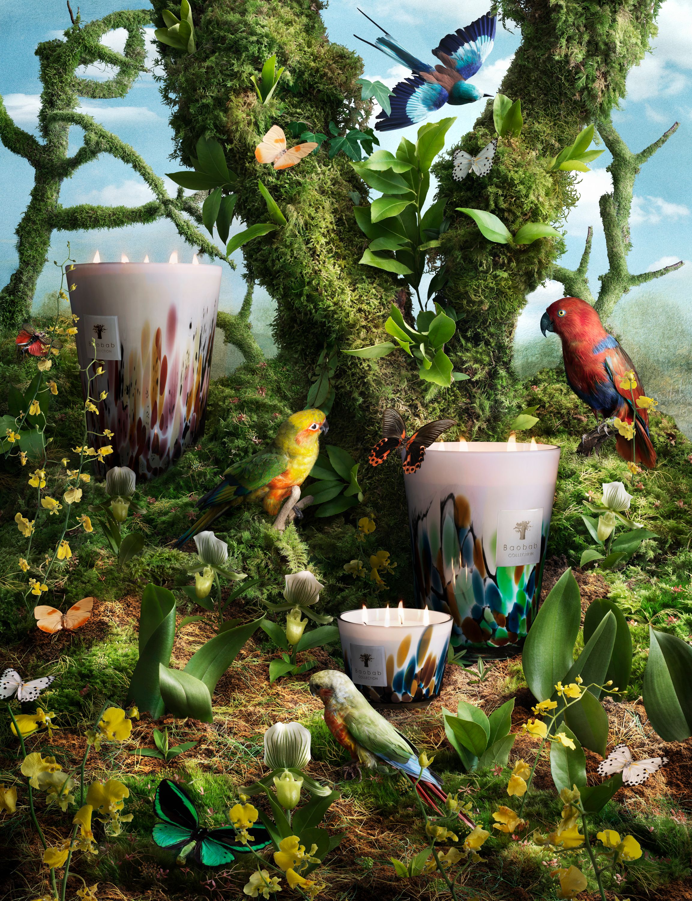 Rainforest – Bella Fine Goods